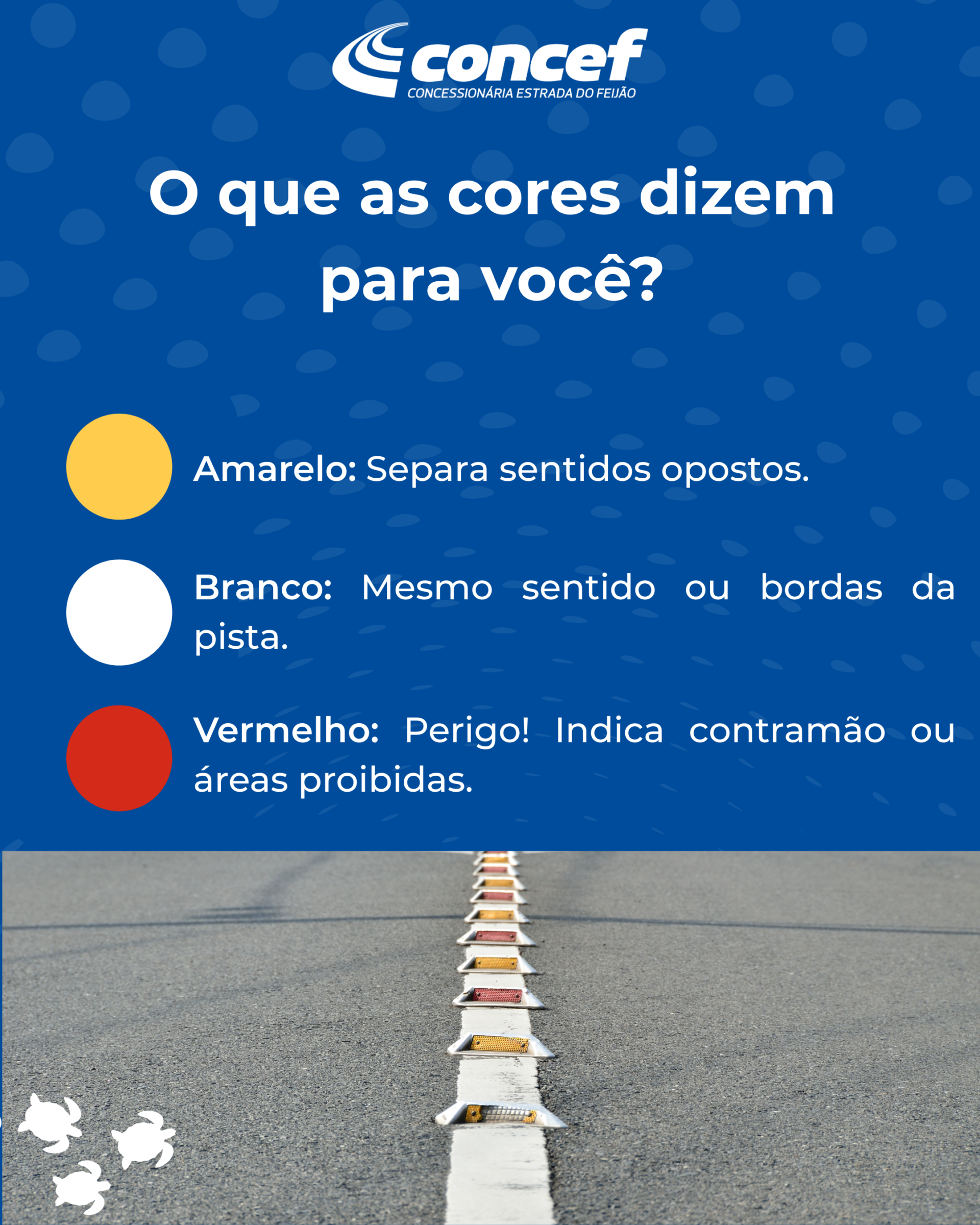 Tachões e tachinhas: pequenos dispositivos, grande impacto na segurança ...